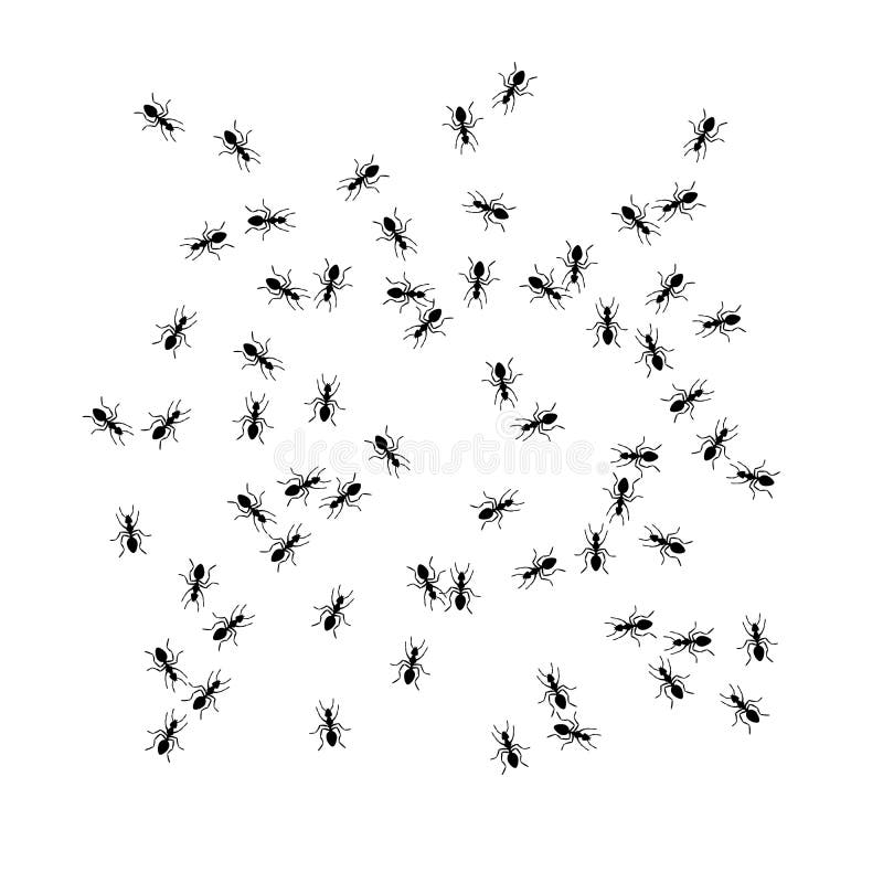 Ants Set. Groups of Working Ants on White Background. Insects Marching ...