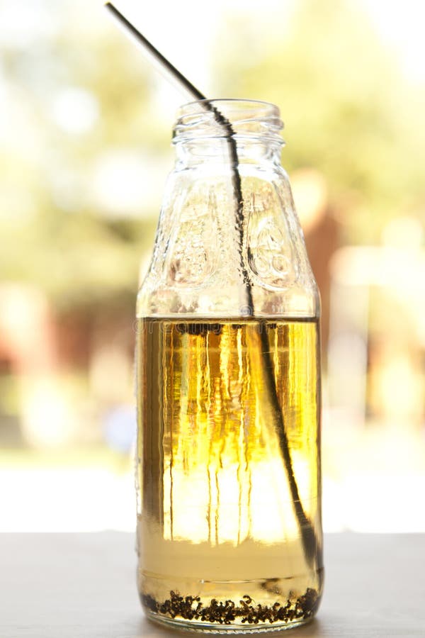 Ants Trapped in Juice stock photo. Image of insects, bottle - 20134722