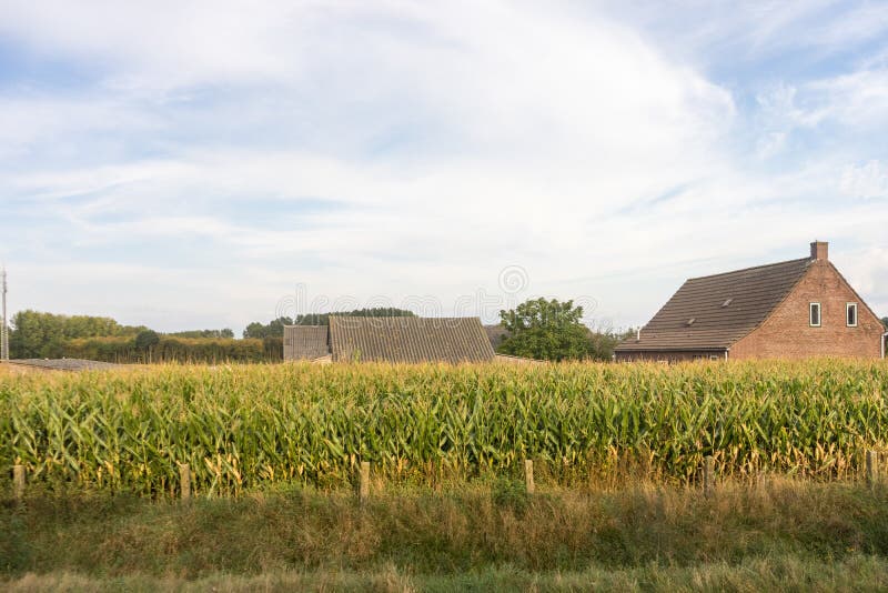Antwerp, Belgium, a House with a Grass Field Stock Photo - Image of ...