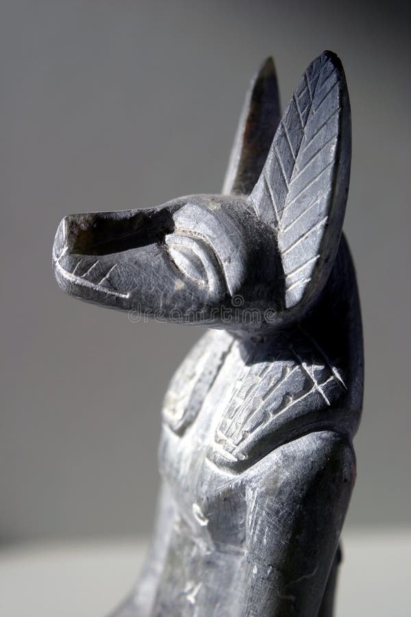 Anubis Picture. Image: 8473