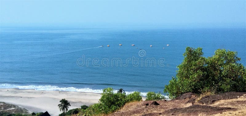 Copora Stock Photos - Free & Royalty-Free Stock Photos from Dreamstime