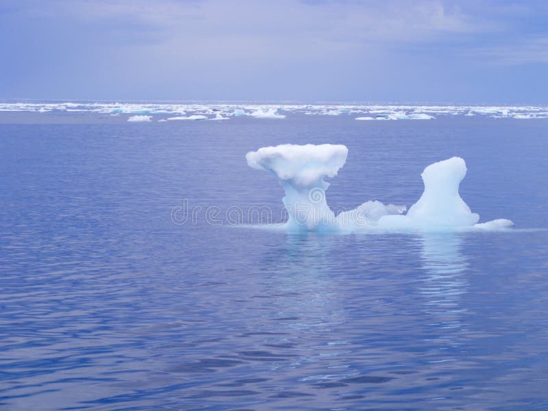 Anvil Shaped Ice Chunk Flaoting in Twillingate Harbour Stock Photo ...