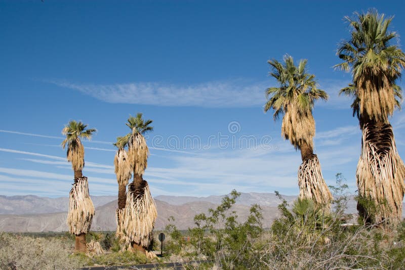 Barren desert country stock image. Image of landscape - 3936161