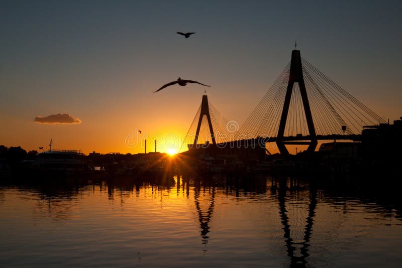 Anzac Bridge Picture. Image: 1121058