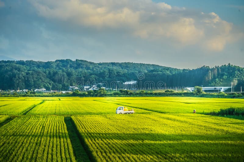 Aomori Rural Scenery stock photo. Image of aomori, region - 272311468