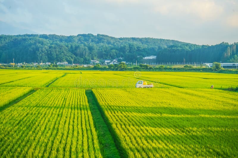Aomori Rural Scenery stock photo. Image of nature, time - 272312190