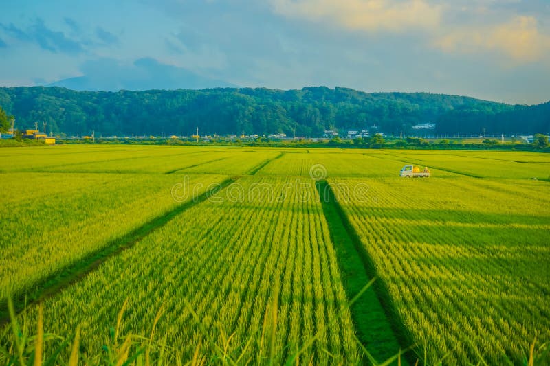 Aomori Rural Scenery stock image. Image of food, rural - 272312447