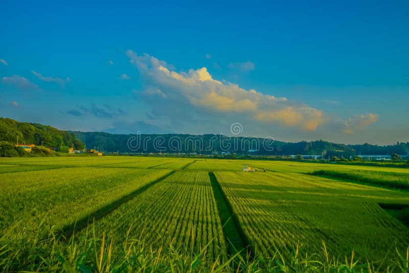 Aomori Rural Scenery stock photo. Image of tohoku, agricultural - 272314234