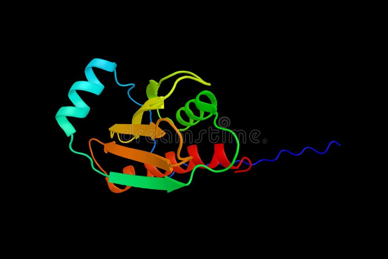 AP-4 Complex Subunit Beta-1, a Part of a Heterotetrameric Adaptor ...