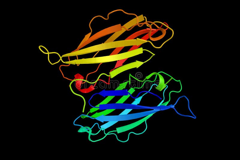 AP-1 Complex Subunit Gamma-1, a Protein Which Forms a Heterotetrameric ...
