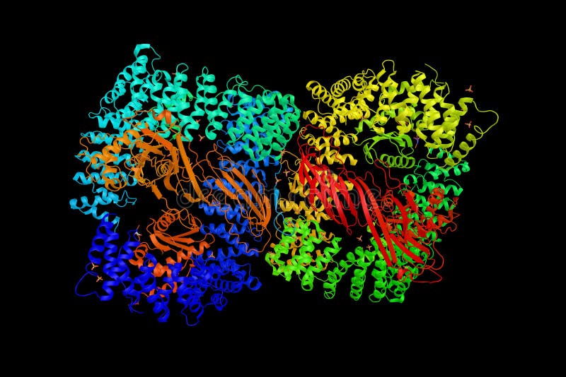 AP-2 Complex Subunit Sigma, a Heterotetramer Associated with Th Stock ...