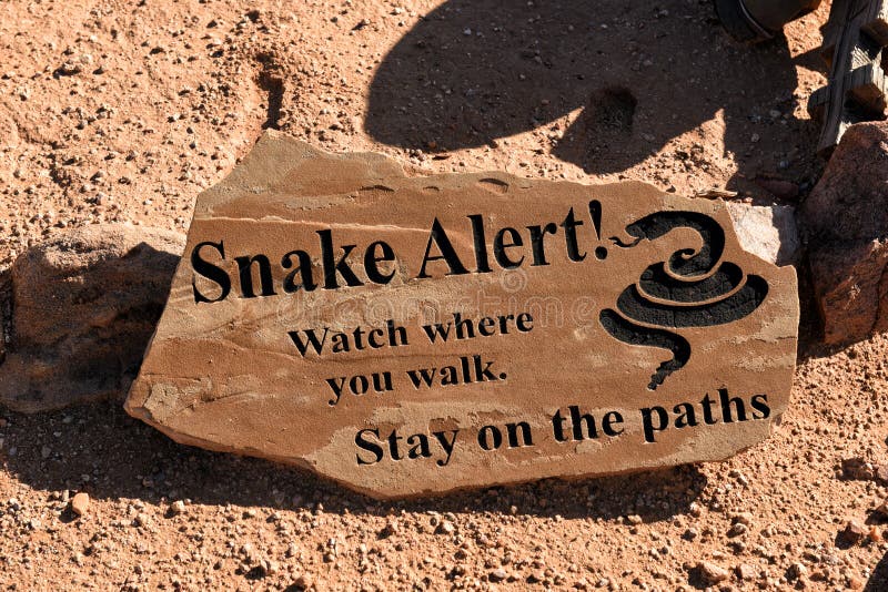 Snake alert stock image. Image of pythons, chattanooga - 6544819