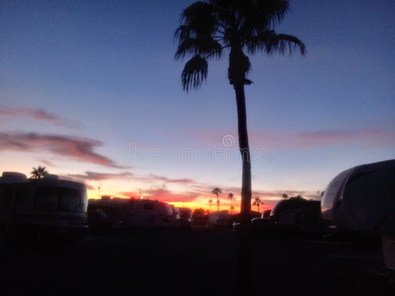 Apache Junction Sunset stock photo. Image of palmtrees - 130787082