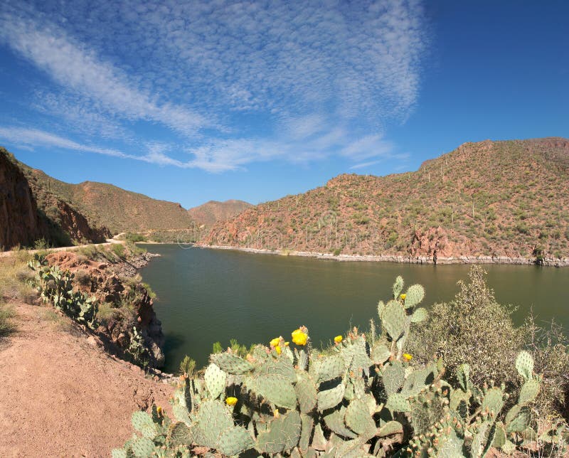 Apache Lake stock image. Image of cholla, nature, lake - 3943173