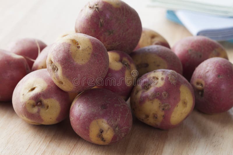 Apache potatoes stock photo. Image of detail, life, isolated - 41117008