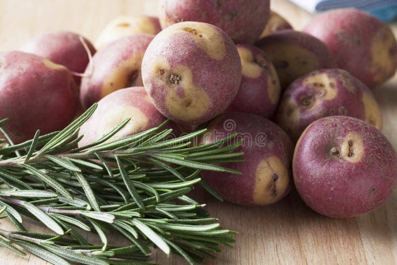 Apache Potatoes and Rosemary Stock Image - Image of rustic, herb: 28732537