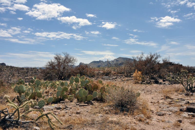 Apache-Spur und See stockbild. Bild von gras, landschaft - 20778393