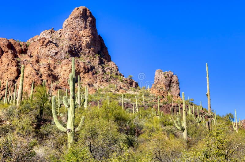 Apache Trail stock image. Image of desert, apache, tonto - 51984635