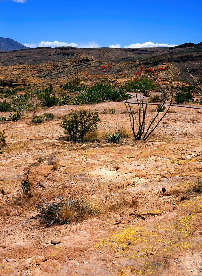 Apache Trail Arizona stock photo. Image of environment - 266612814