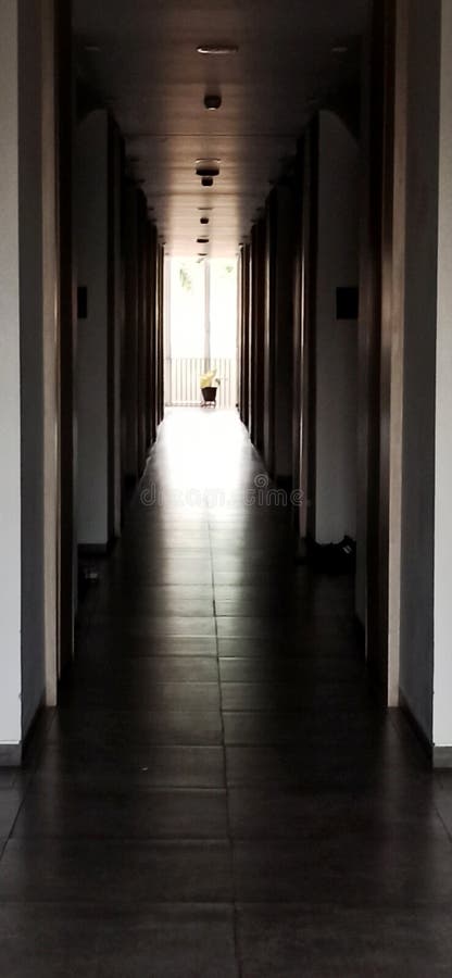 Random Apartment Alley Stock Photos - Free & Royalty-Free Stock Photos ...