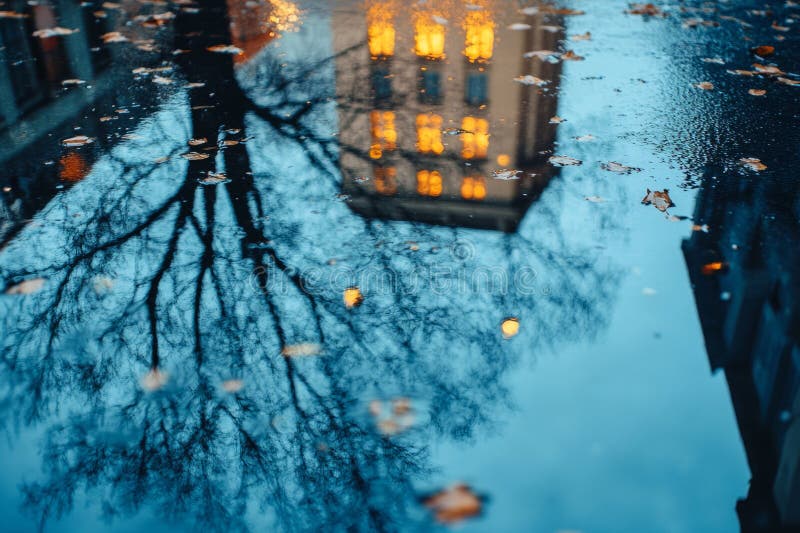 Apartment Building with Illuminated Windows and a Bare Tree Reflecting ...