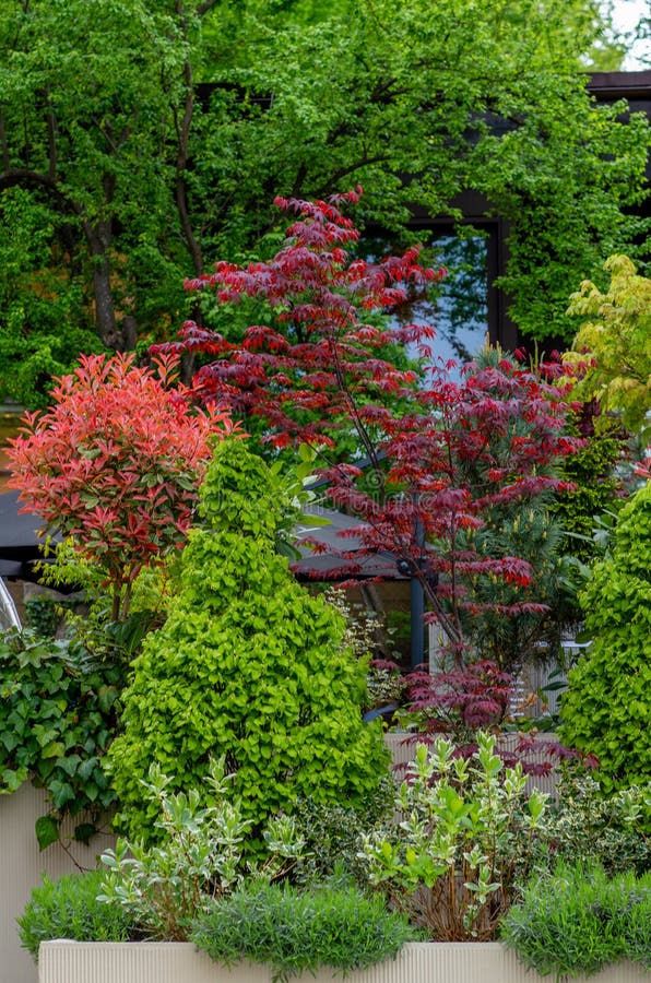 An Apartment Building with Shrubbery and Shrubs on the Front of it ...