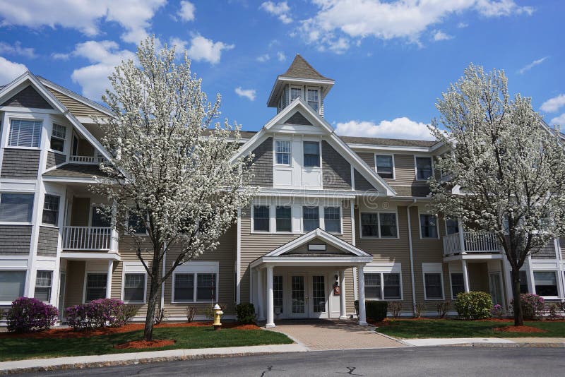 Apartment Building with Spring Tree Stock Image - Image of estate ...