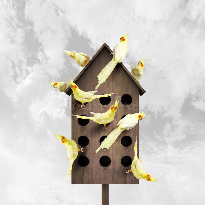 Apartments For Friendly Living Stock Photo - Image of birdhouse ...