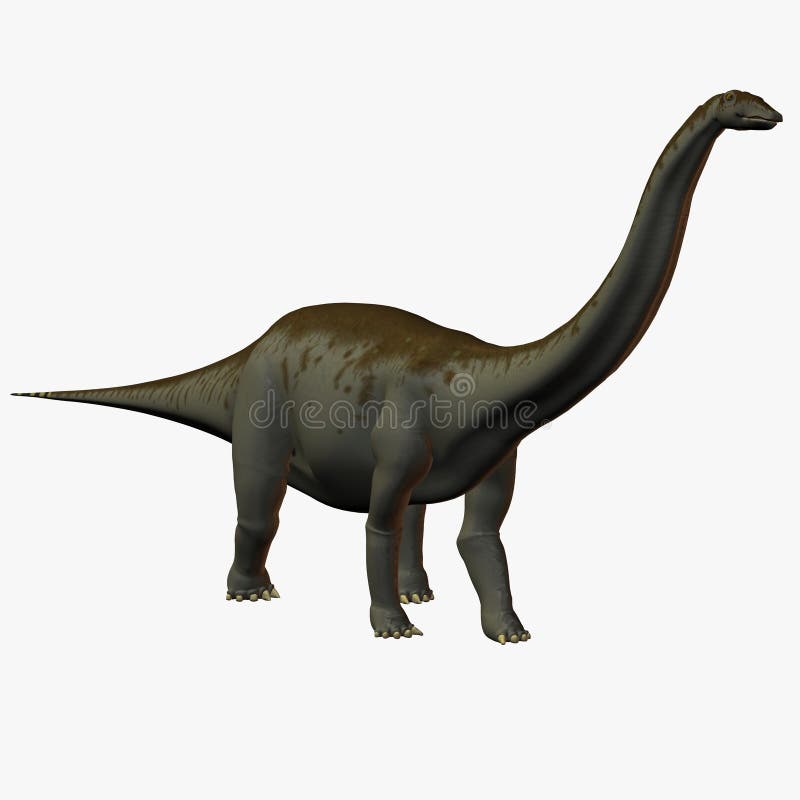 Apatosaurus stock illustration. Illustration of extinct - 783439