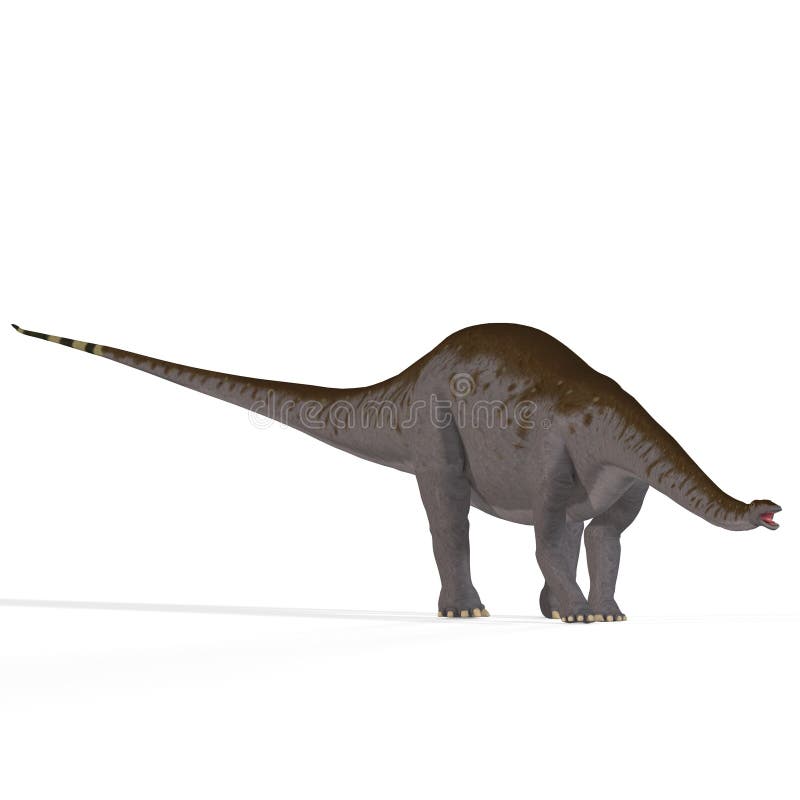Dinosaur Brontosaurus and Human Size Comparison Stock Illustration ...