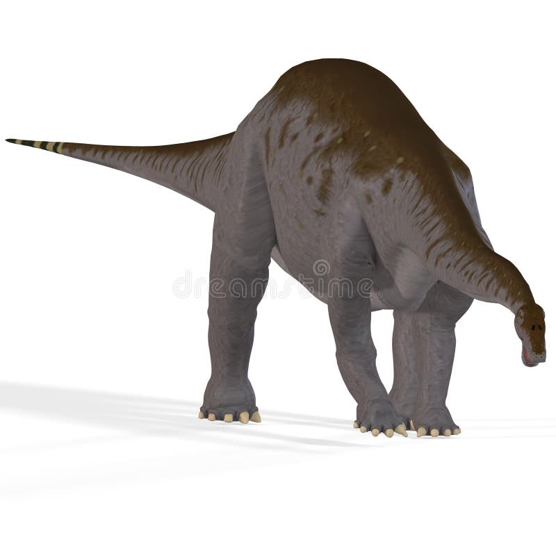 1+ Apatosaurus aka brontosaurus Free Stock Photos - StockFreeImages