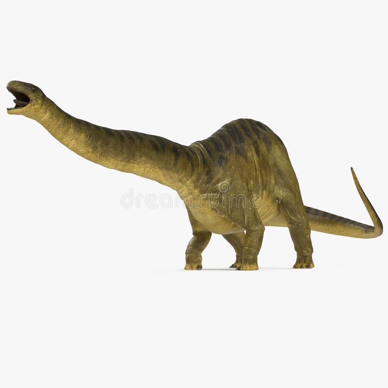 Apatosaurus Dinosaur Model on White. 3D Illustration Stock Photo ...