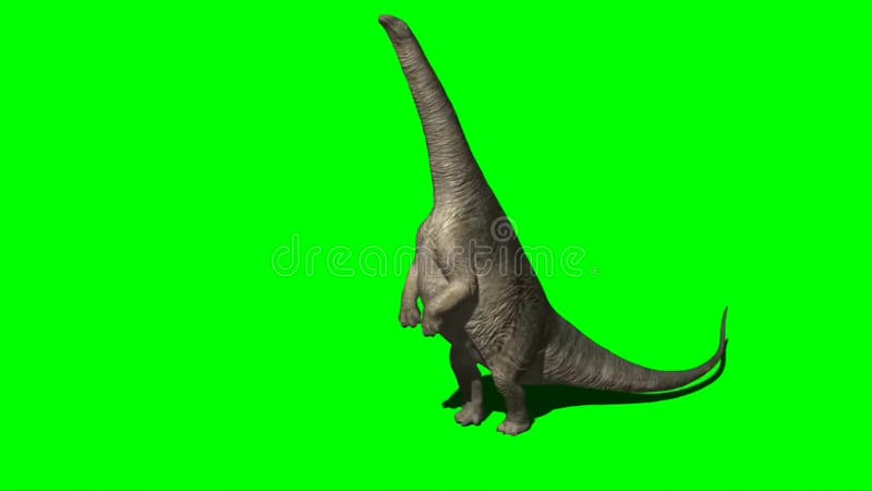 Apatosaurus Eating on Green Screen Stock Footage - Video of dinosaurs ...