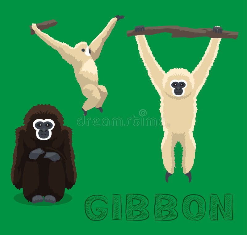 Ape Gibbon Cartoon Vector Illustration Stock Vector - Illustration of ...