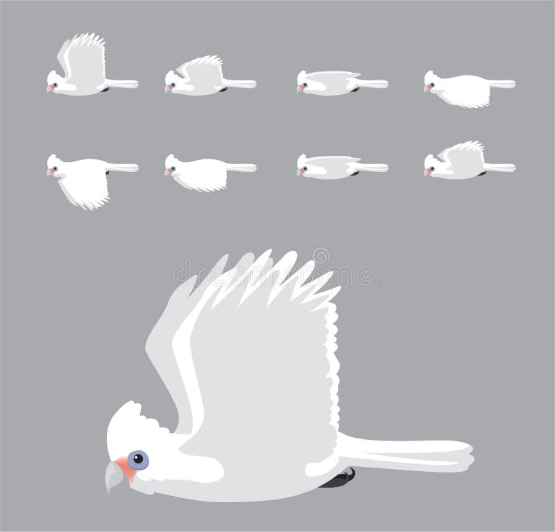 Bare-Eyed Cockatoo Flying Animation Sequence Cartoon Vector Stock ...