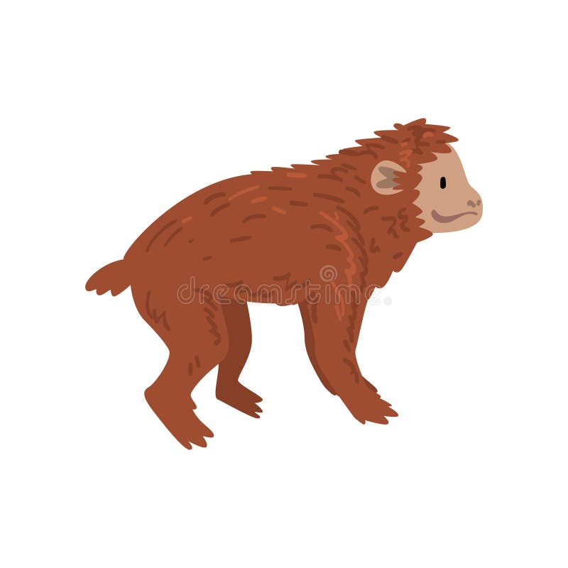 Ape, Monkey Animal Progress, Evolutionary Process of Woman Vector ...