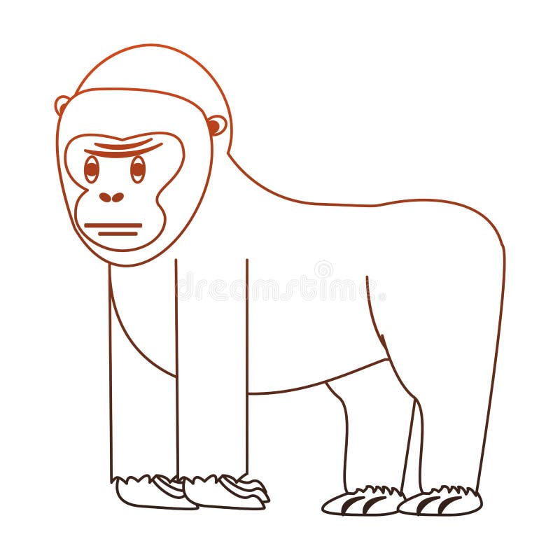 Ape wild animal red lines stock vector. Illustration of creature ...