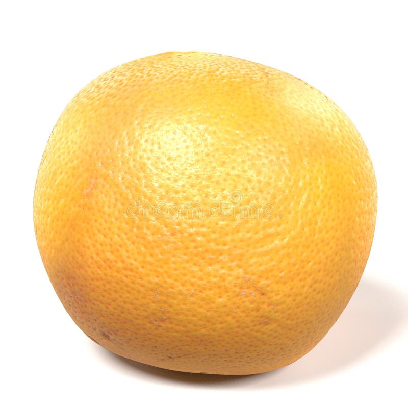 Apelsin stock illustrationer. Illustration av tropiskt - 92037800