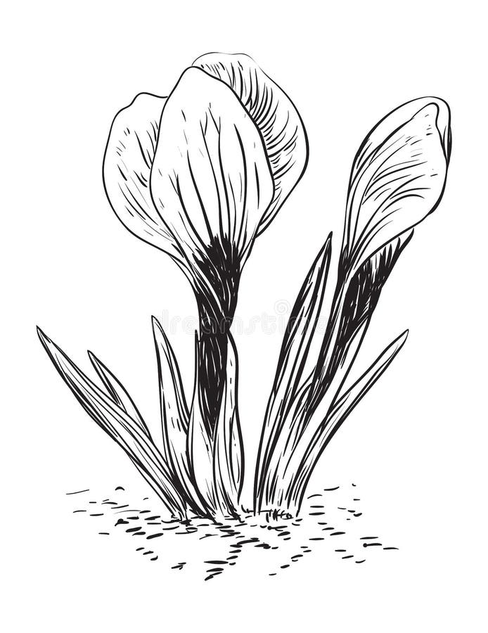 Apenas chovido sobre ilustração do vetor. Ilustração de abril - 51729047