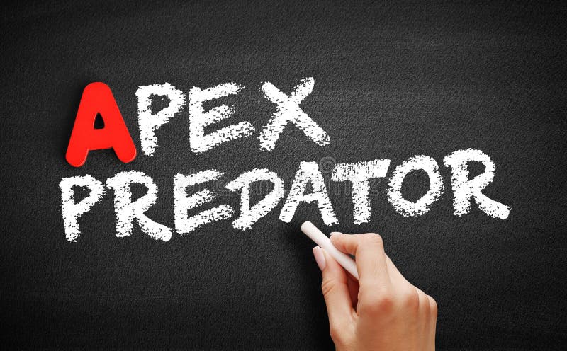 Apex Predator Text on Blackboard Stock Image - Image of killer, species ...