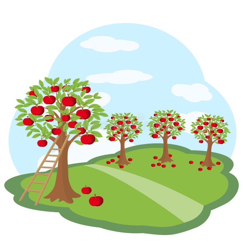 Landschaft mit Apfelernte vektor abbildung. Illustration von graphik ...