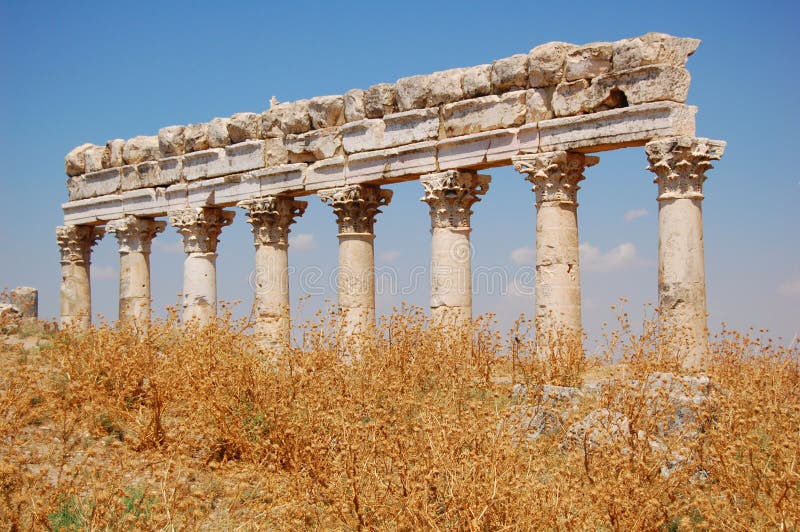 Aphamia ruins, Syria stock photo. Image of asia, aphamia - 11441896