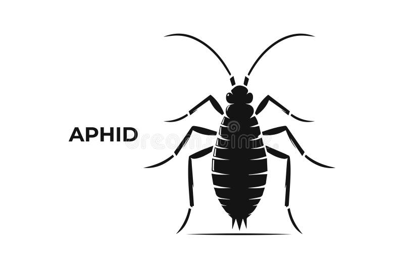 A Distinctive Aphid Silhouette for Multi-Format Design Projects. Vector ...