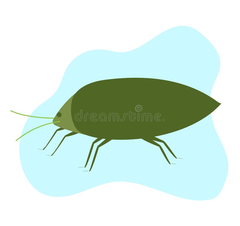 Aphid insect icon stock vector. Illustration of little - 162058491