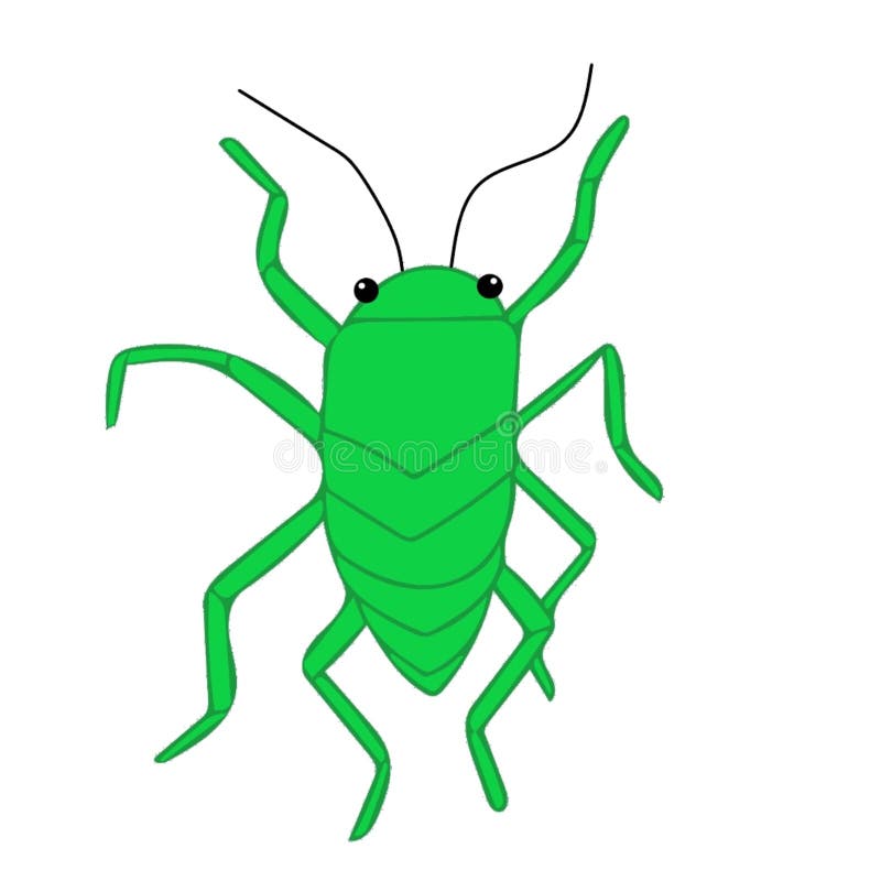 Illustration Aphid Llustration Stock Illustrations – 1 Illustration ...