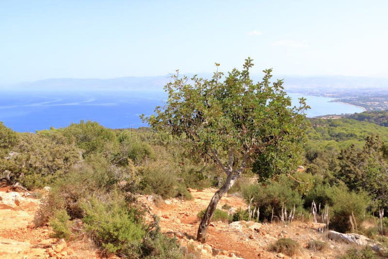 Aphrodite and Adonis Nature Trail, Akamas Peninsula, Cyprus Stock Image ...