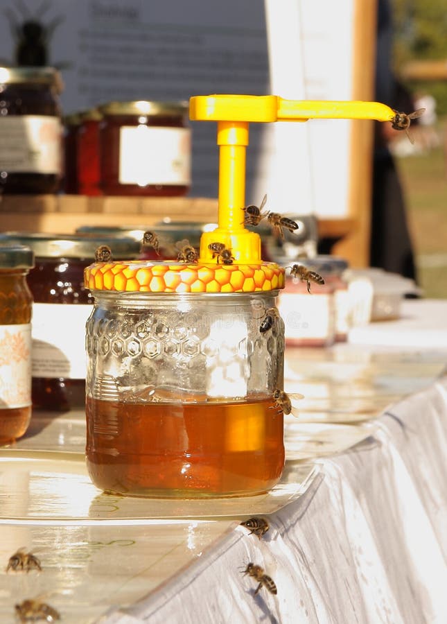 Api Del Miele Sulla Fine Della Pastinaca Su Immagine Stock - Immagine ...