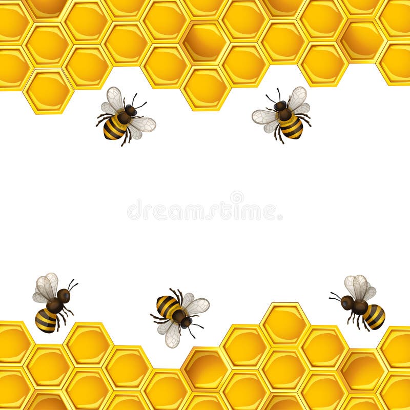 Api e favi illustrazione vettoriale. Illustrazione di movimento - 19809067