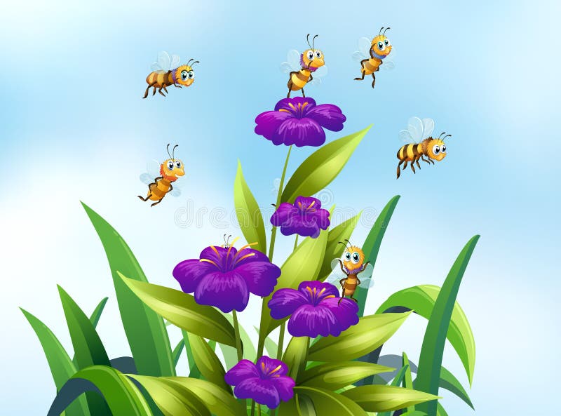 Api e fiore illustrazione vettoriale. Illustrazione di decorazione ...