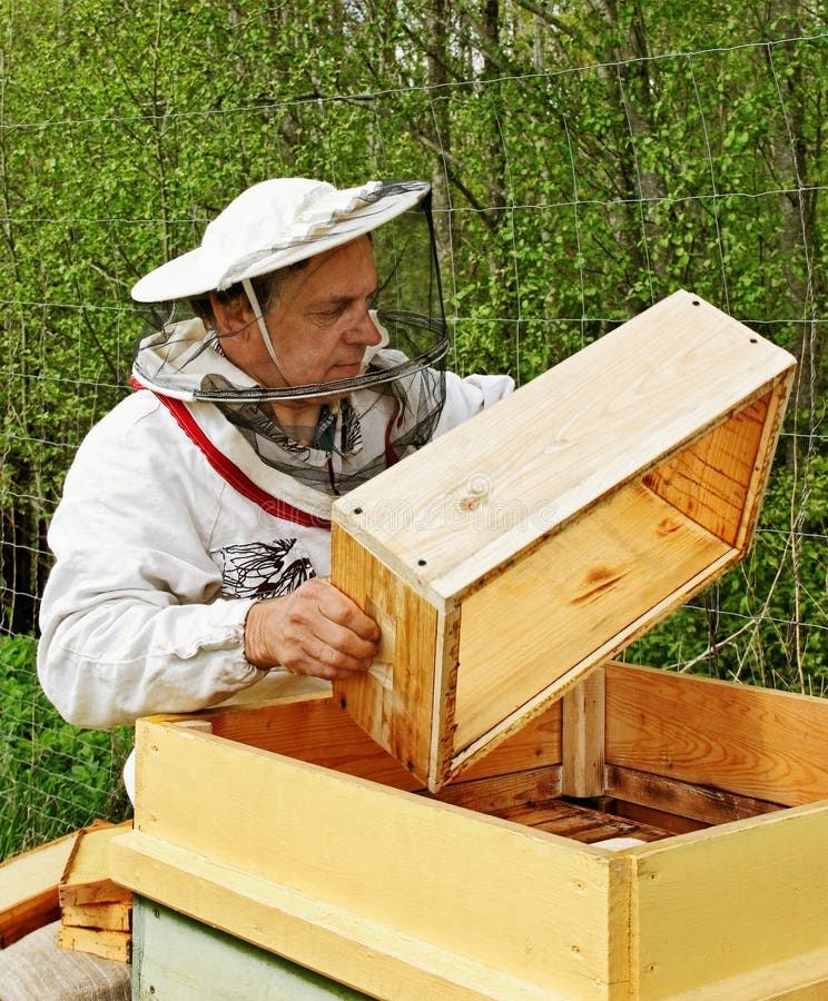 Apiarist. stock image. Image of person, natural, male - 24871939